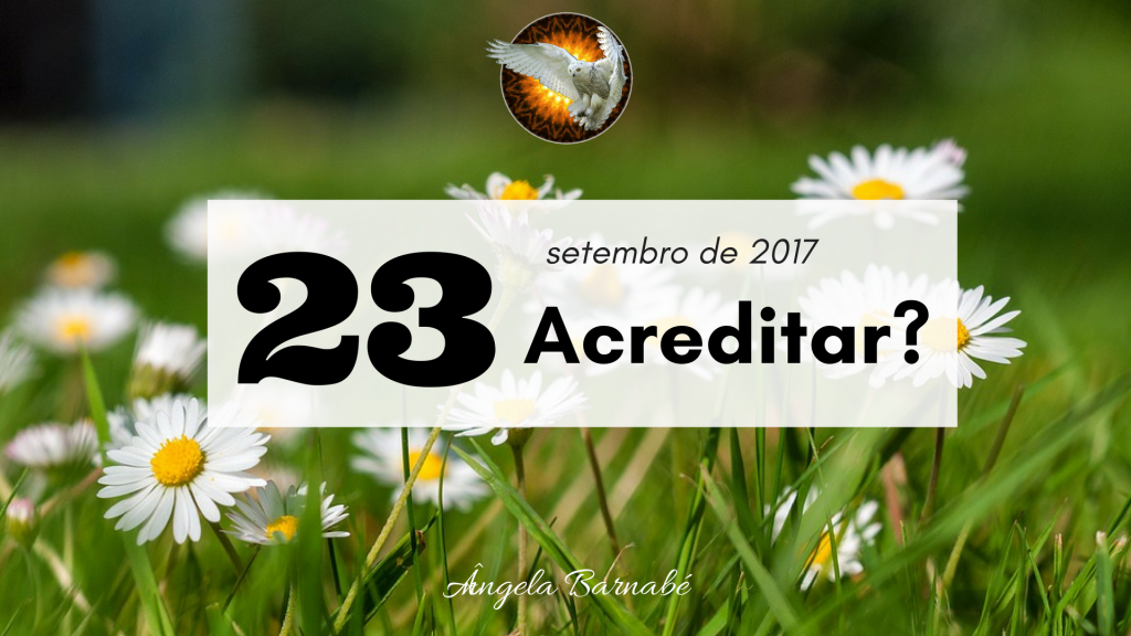 Fazer aquilo que acredito – Reflexões Diárias - Ângela Barnabé