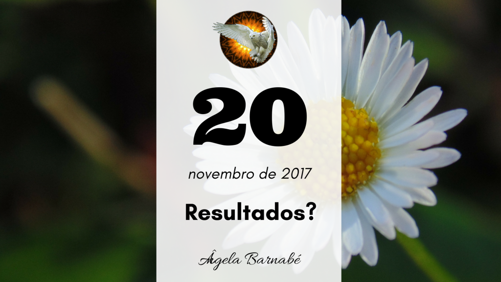 Como saber se as coisas estão a resultar? – Reflexões Diárias