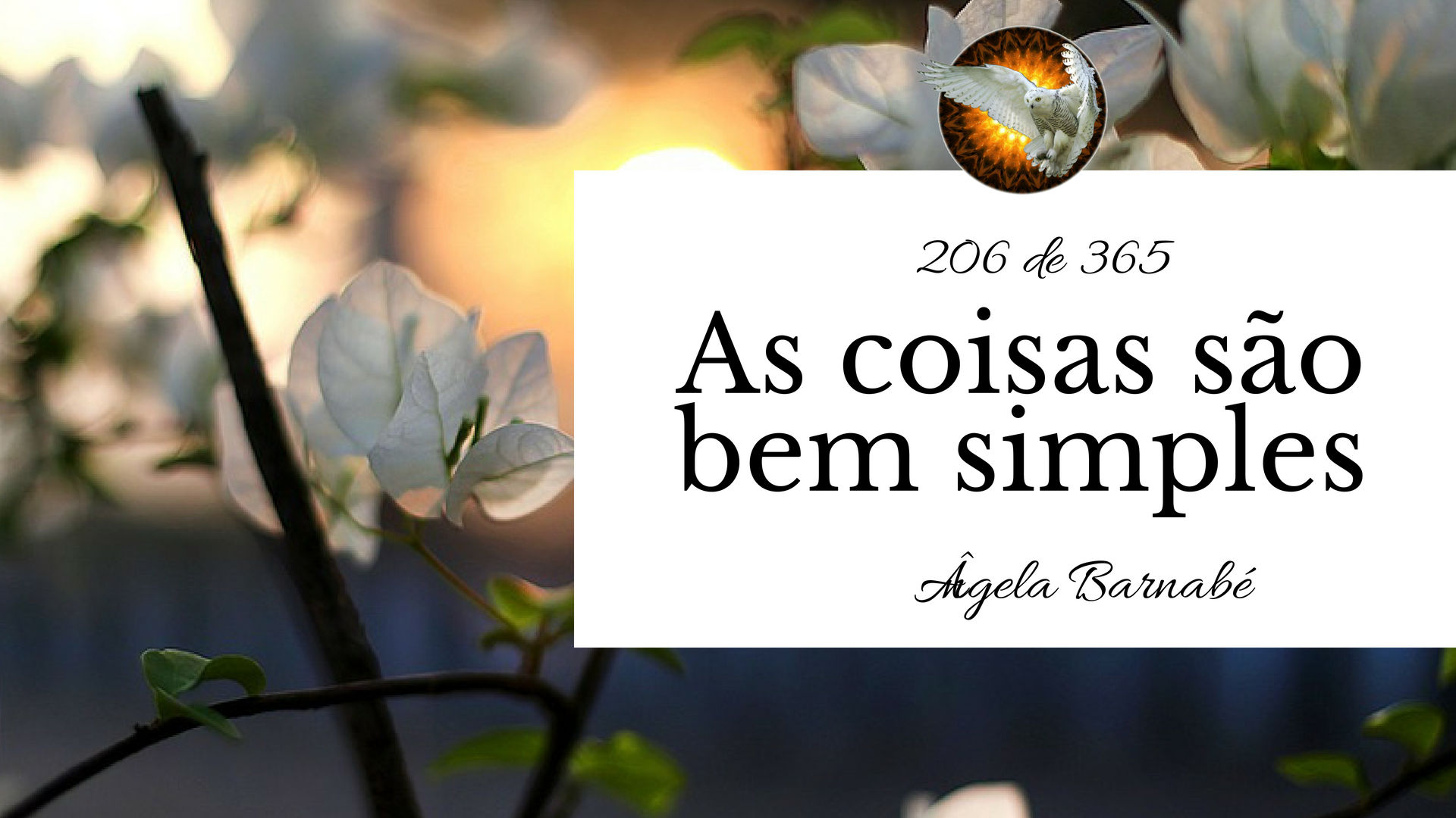 as coisas são bem simples - Ângela Barnabé