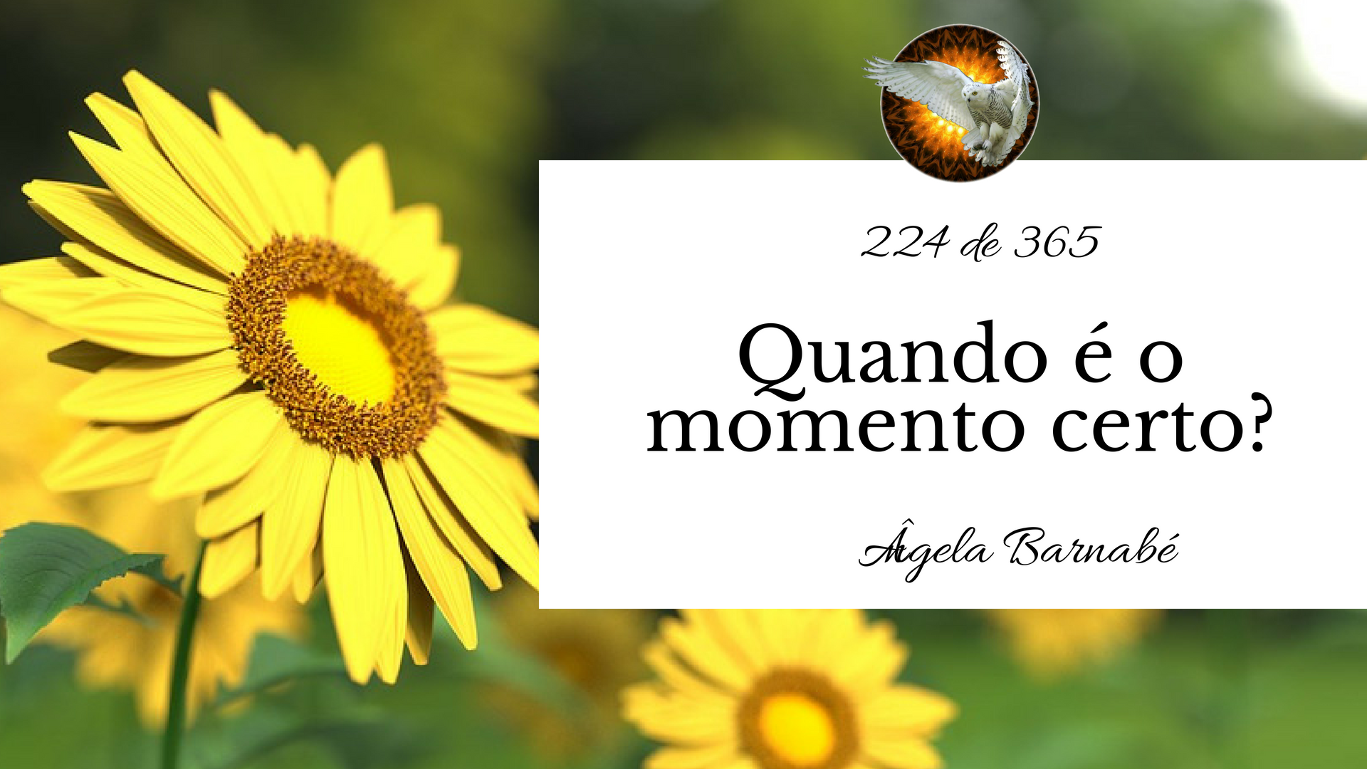 Quando é o momento certo? - 224 de 365 - Ângela Barnabé