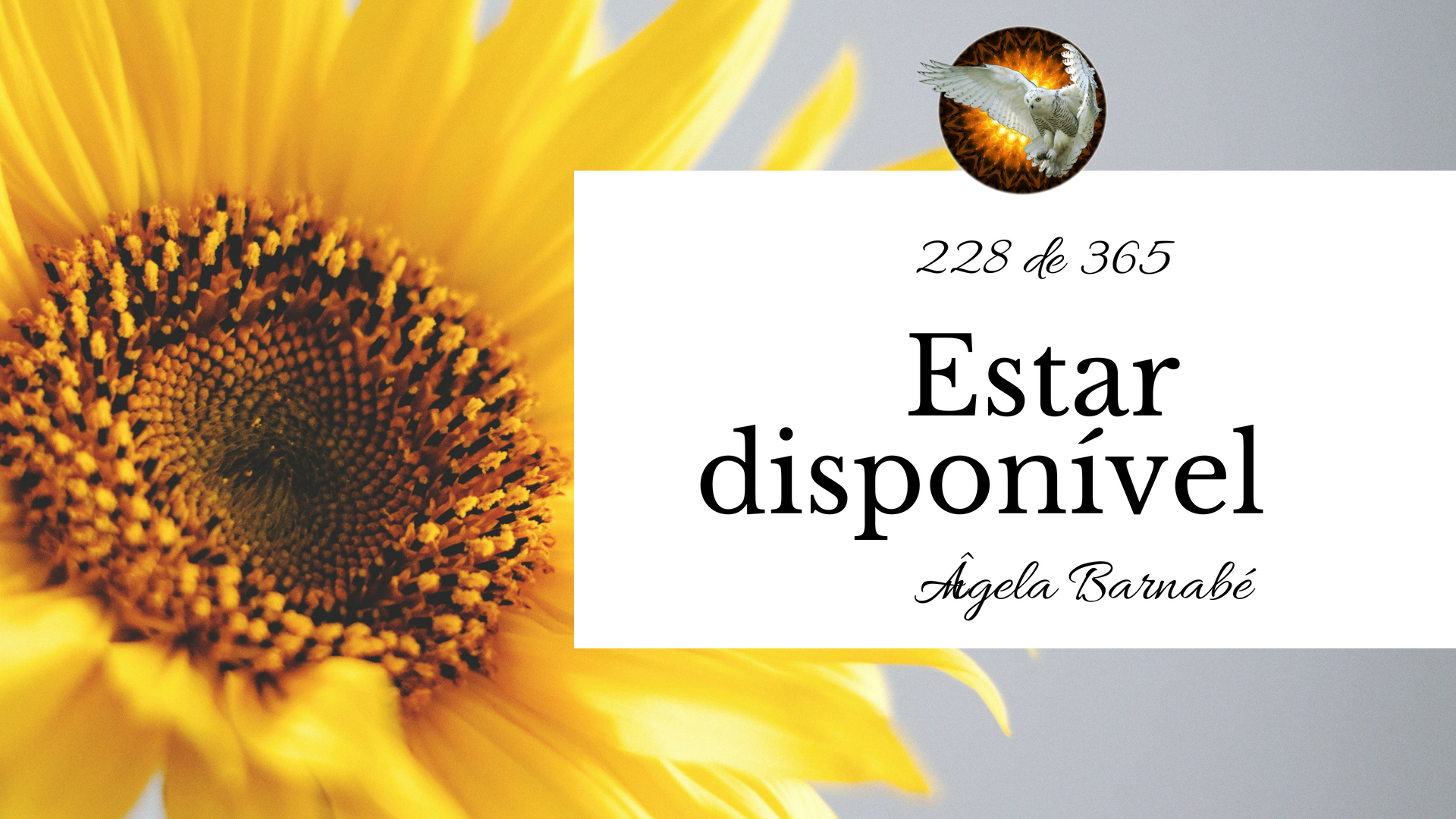 Estar disponível - 228 de 365 - Ângela Barnabé