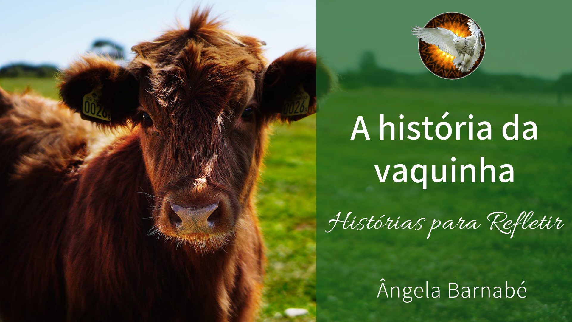 A História Da Vaquinha - EDUCA